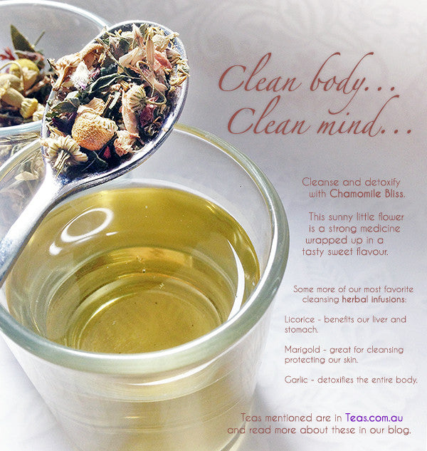 15 Detox and Cleansing Herbs from Around the Globe– Teas.com.au