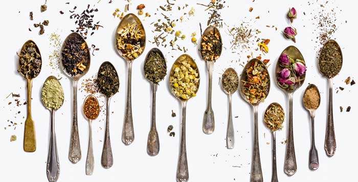 Exquisite Leaf Tea & Luxury Teaware Since 2003– Teas.com.au